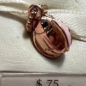 Pandora | Jewelry | Pandora Ladybug Pendant Charm | Poshmark